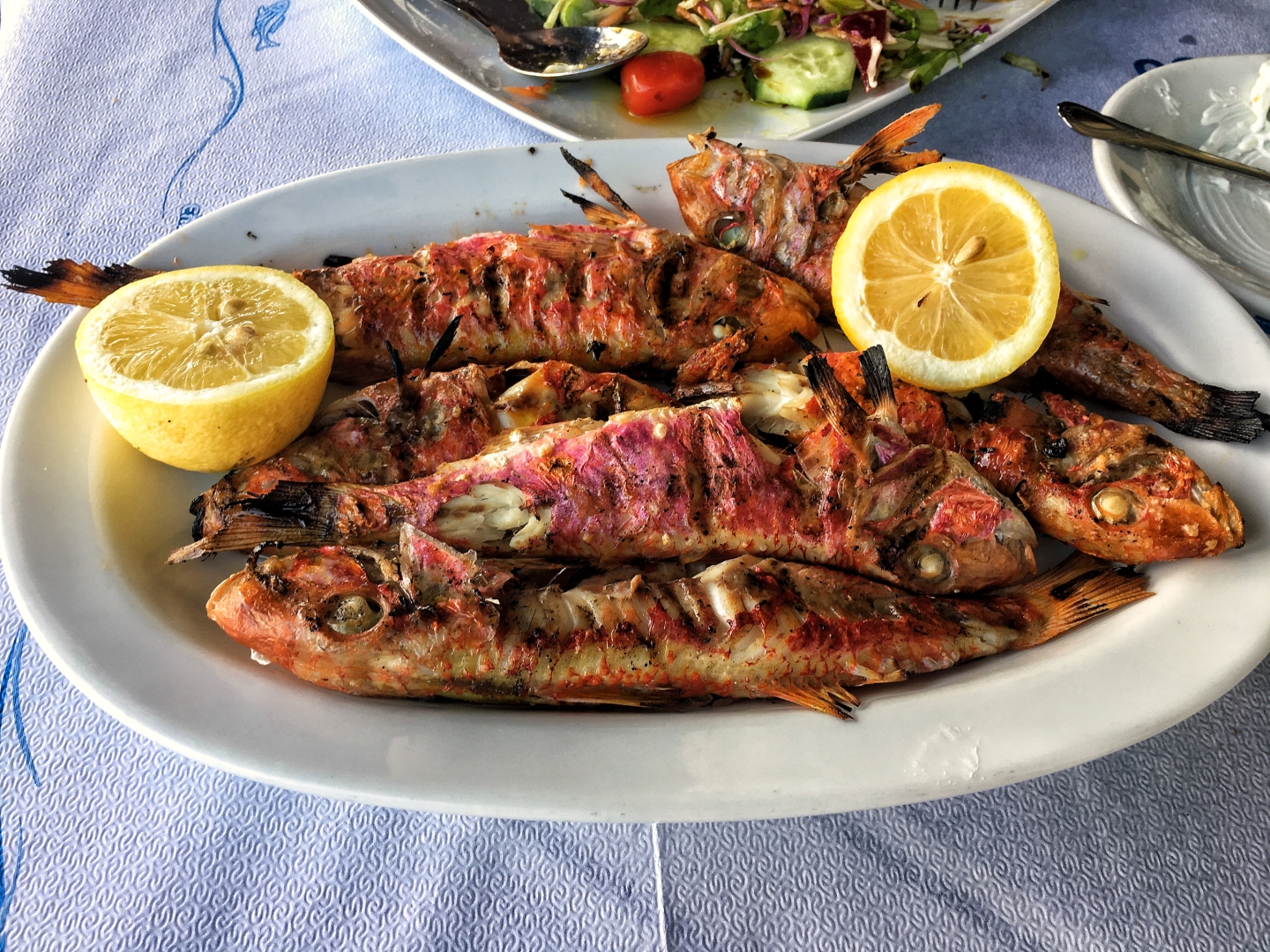 O Giannis Fish Tavern or where to eat fish in Piraeus. - As I Travel